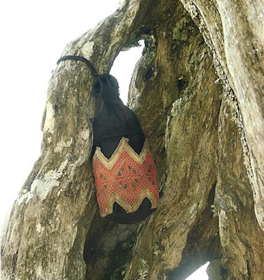 NEW ANIMALS: WITCH TREE