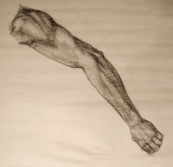 NikaWind Art Studios: Arm & Shoulder Studies