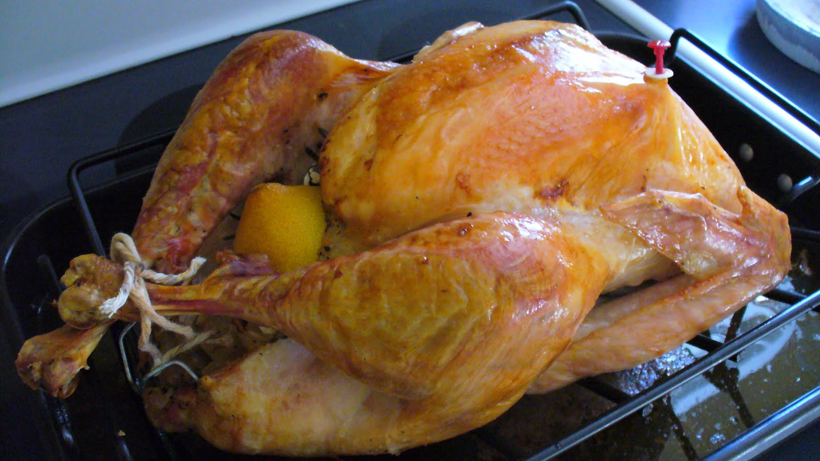 Roasted Turkey with Herbs and Lemon - Family Balance Sheet