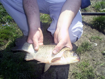 Arome si culori : La pescuit