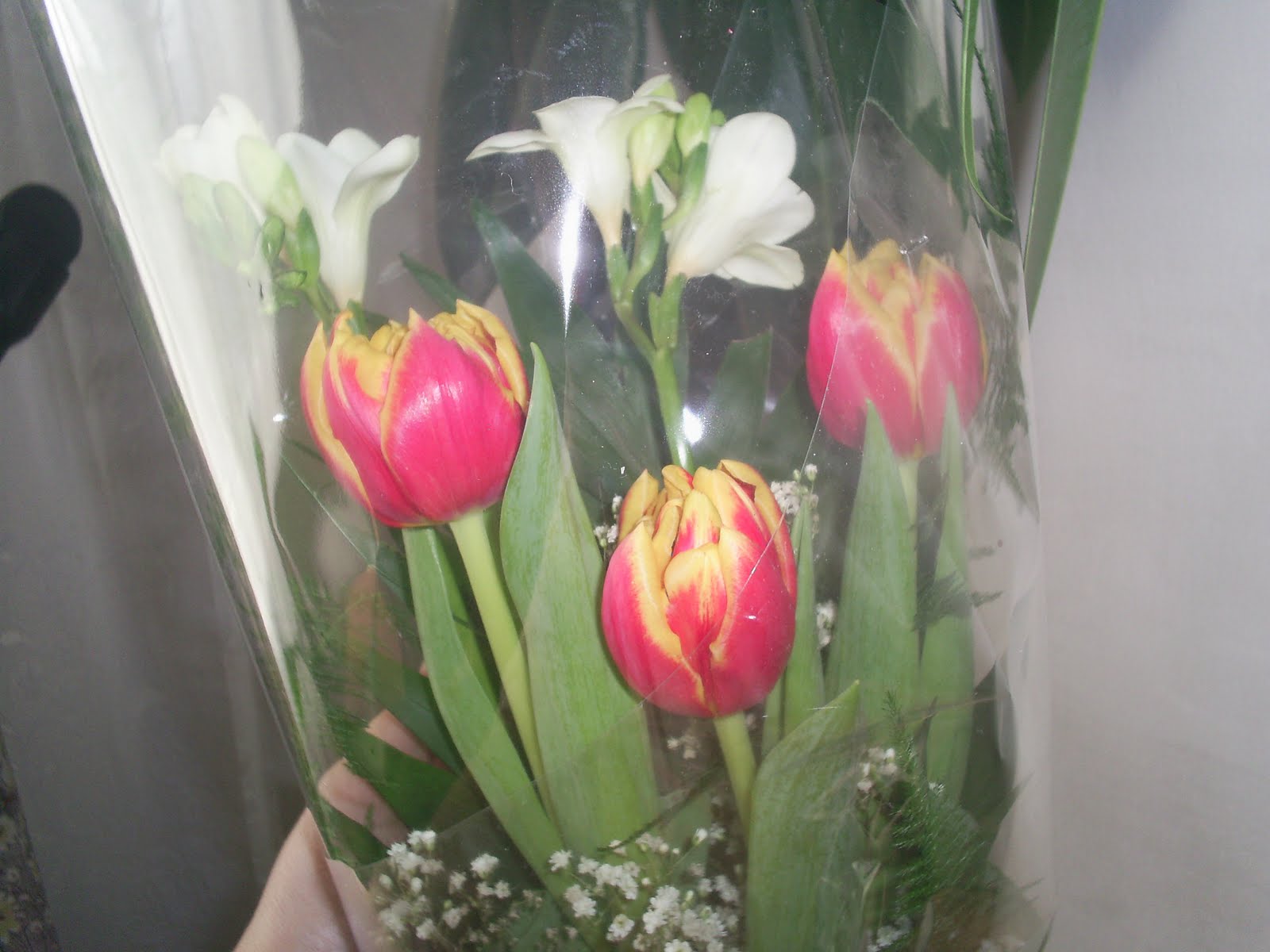 Arome si culori : Florile mele