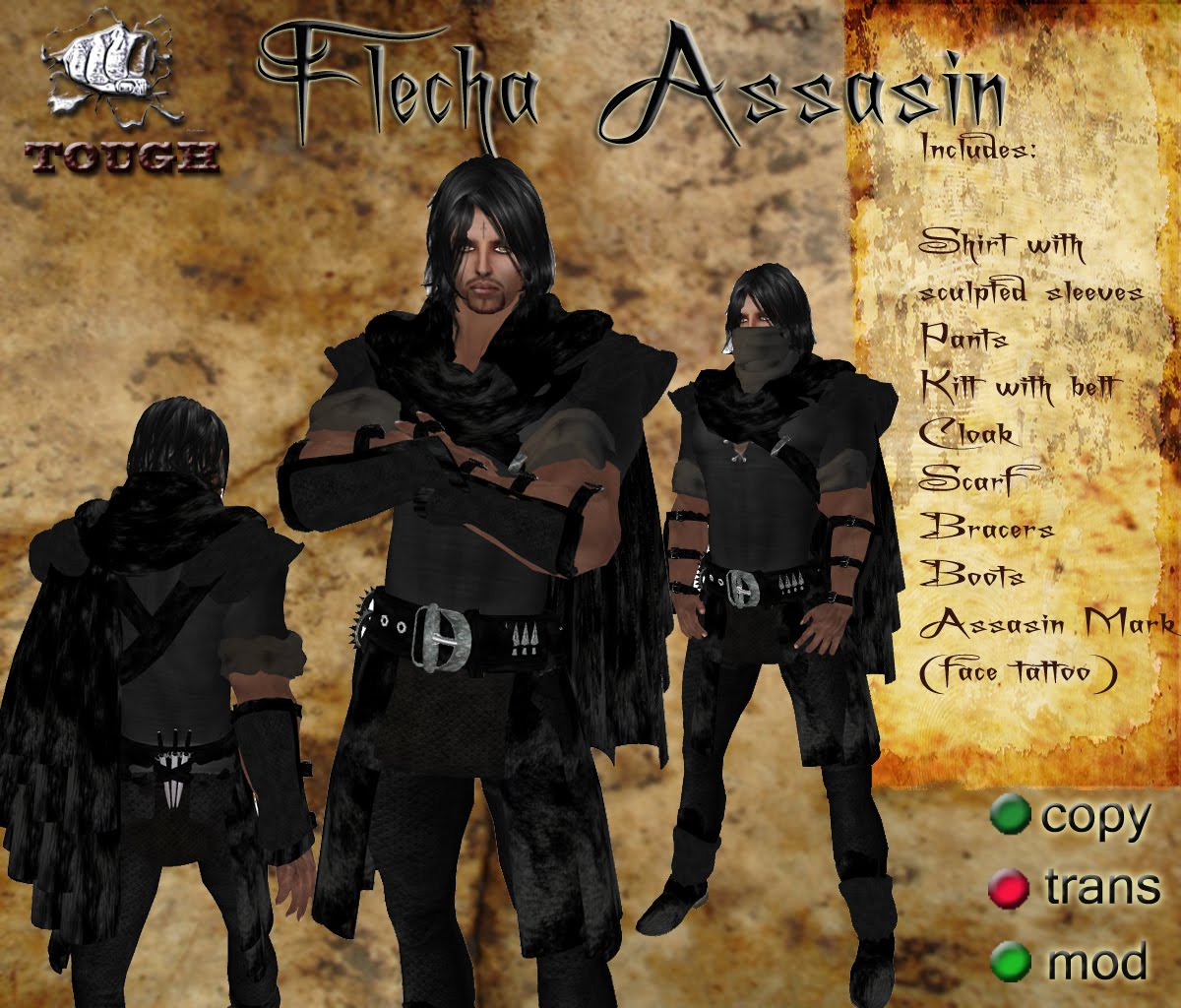 TOUGH! Gorean Men: The Assasin: Flecha, Black Caste of Gor 1