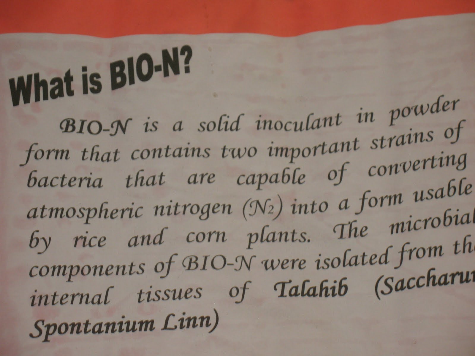 toledo city agricultural services: FOOD SECURITY PROJECT/SERVICES ...