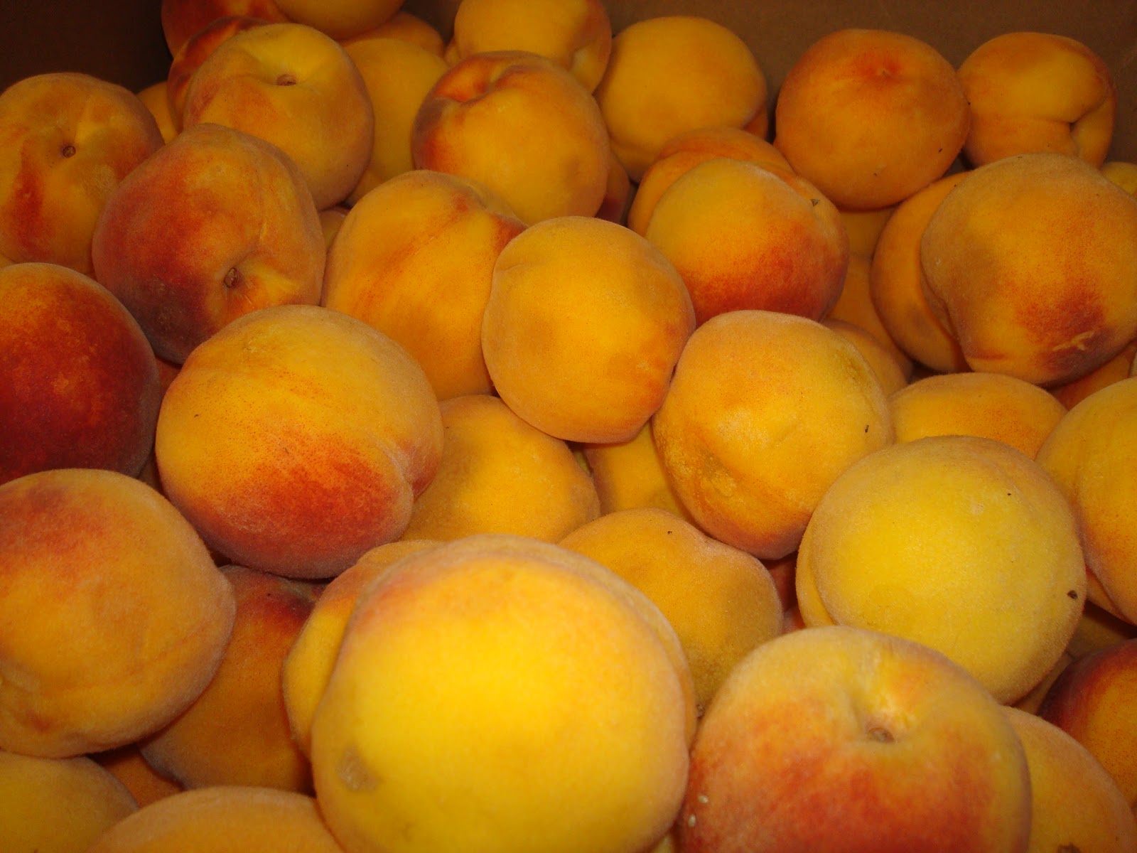 my family prepared: Canning Peaches - How To