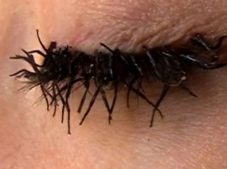 Flylashes - Spluch - Interesting/Fun Stuff From Around The World