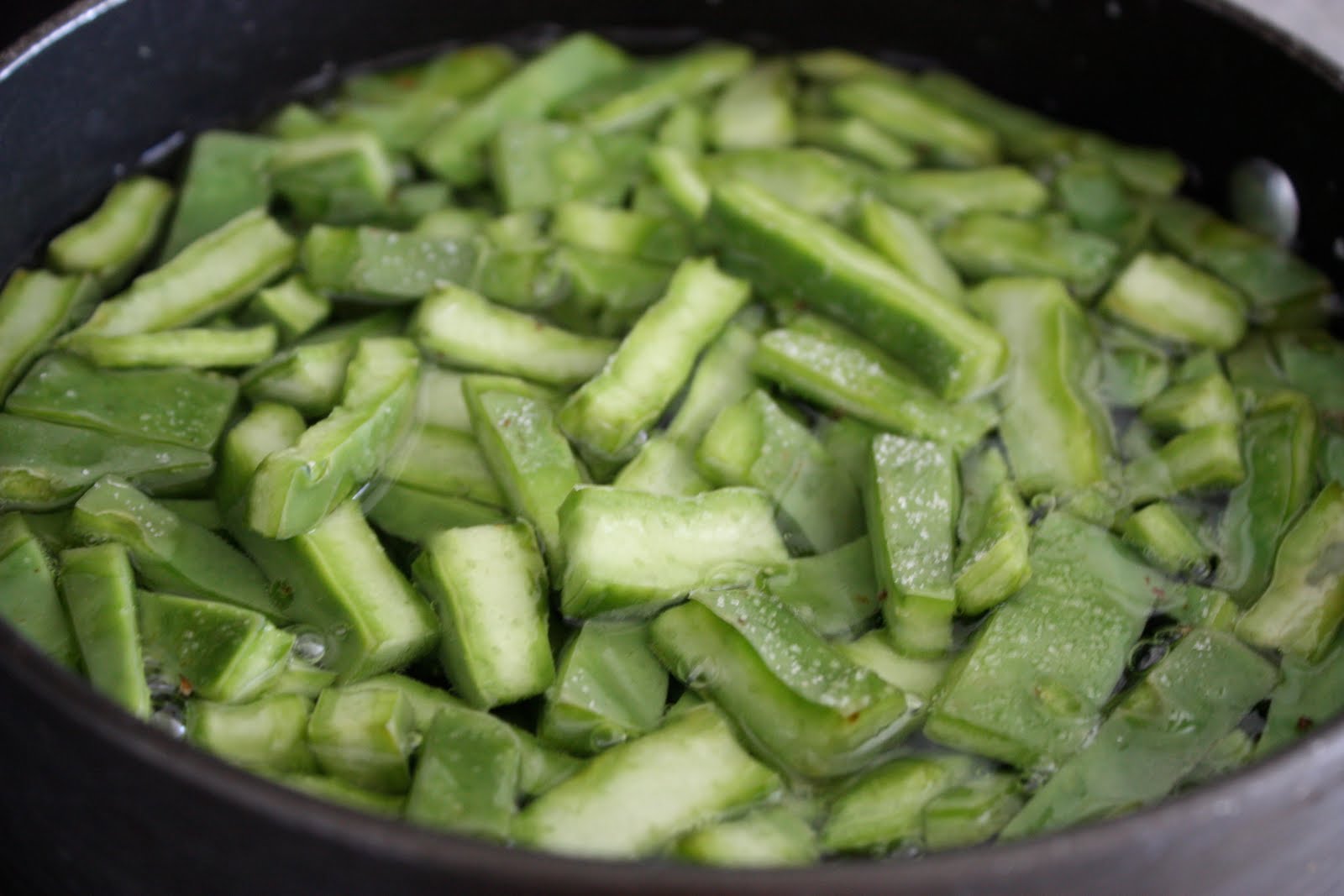Viva Cindy: Cooking with Nopales (prickly pear cactus)