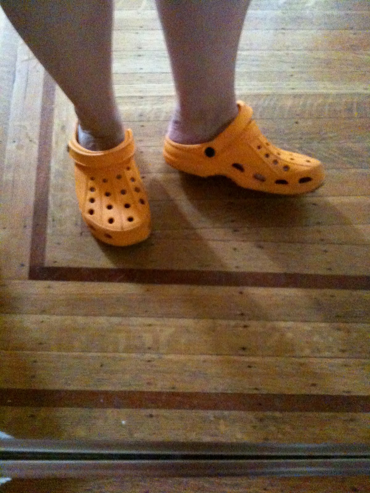 Awww Clutter: August 16 - (fake) Crocs!