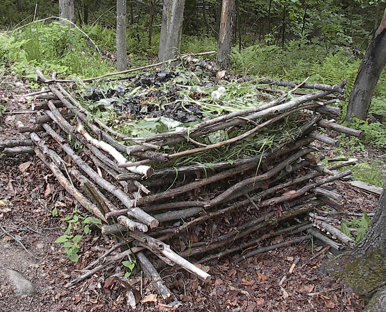 Scaling the Peak: More compost and more time