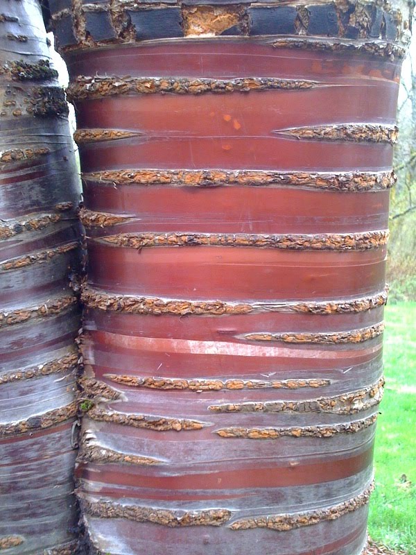 Nature & Knowledge: April 2010