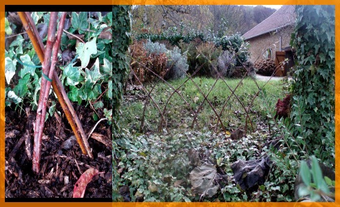 Ledoubsjardindanabel