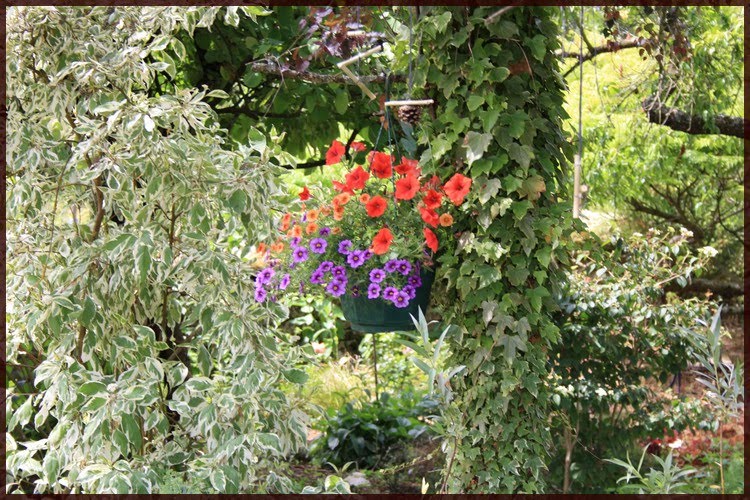 Ledoubsjardindanabel