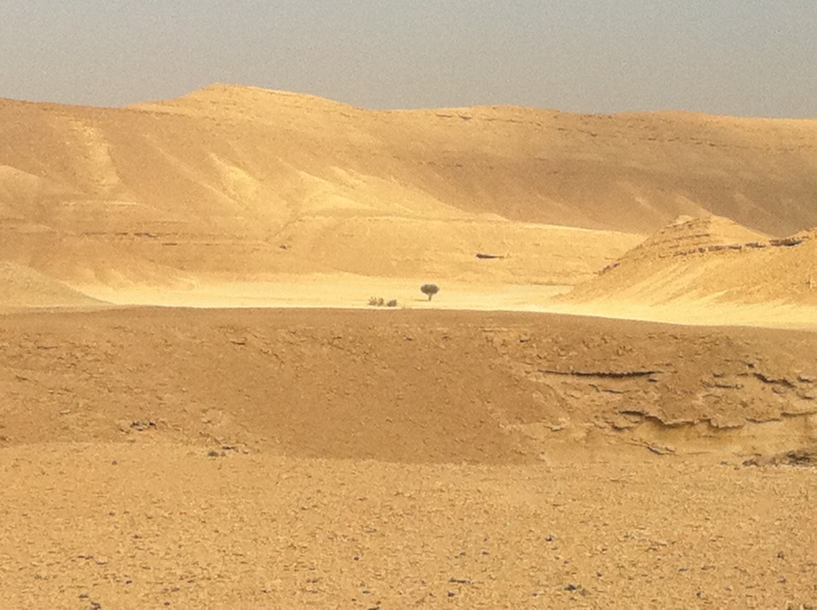 My year in Saudi Arabia: Hash