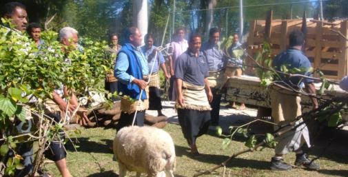 ECONOMY OF TONGA ~ Klima Naturali™