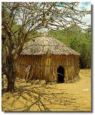 The Fall and Rise of the Puerto Rican Taino Indian People.....(1-4)