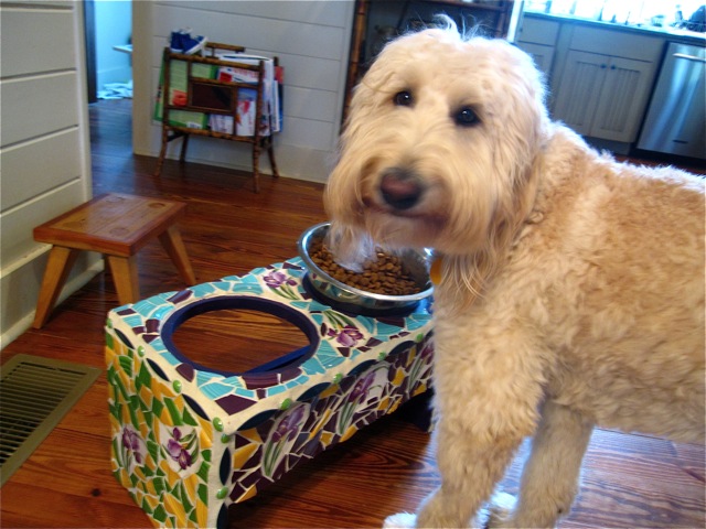 Laura Winzeler Designs: Mosaic Dog Buffet! For The Dogs Who Truly Have ...