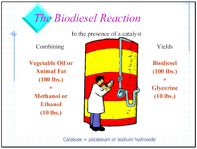 BIODIESEL: Understanding It's Potential and Limitations:Food Industry News