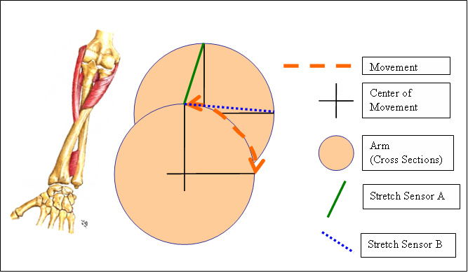 Building Stuff: Motion Capturing with Stretch Sensor