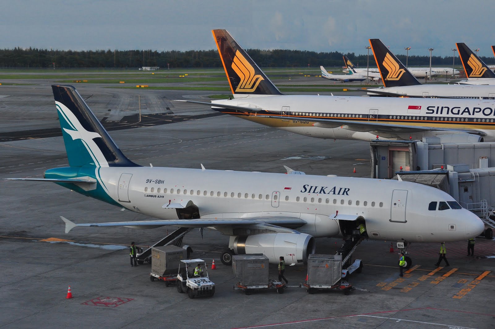 Aeroplane spotting (Photograph): SilkAir Airbus A319-133 (9V-SBH ...
