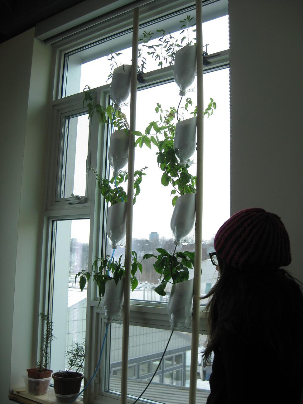 pots and jars: Indoor Plant Projects Workshop