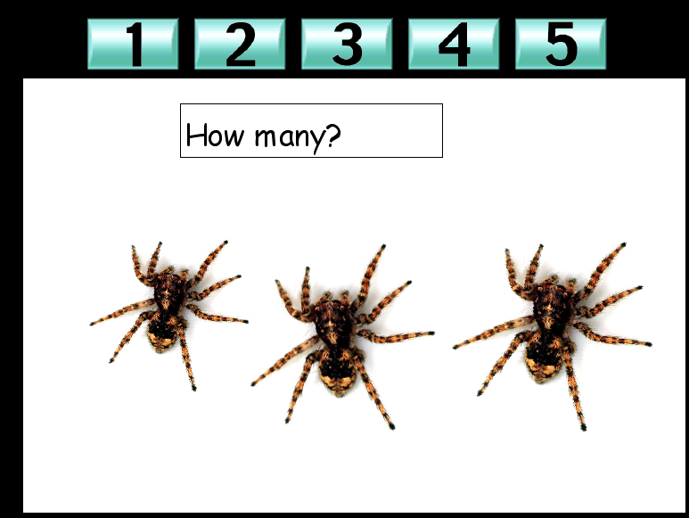 talkin'smac: Counting Spiders