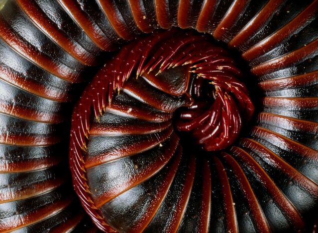 Ashwaaa I GDesigner: Repeat..Repeat..Repeat... 26/01/11