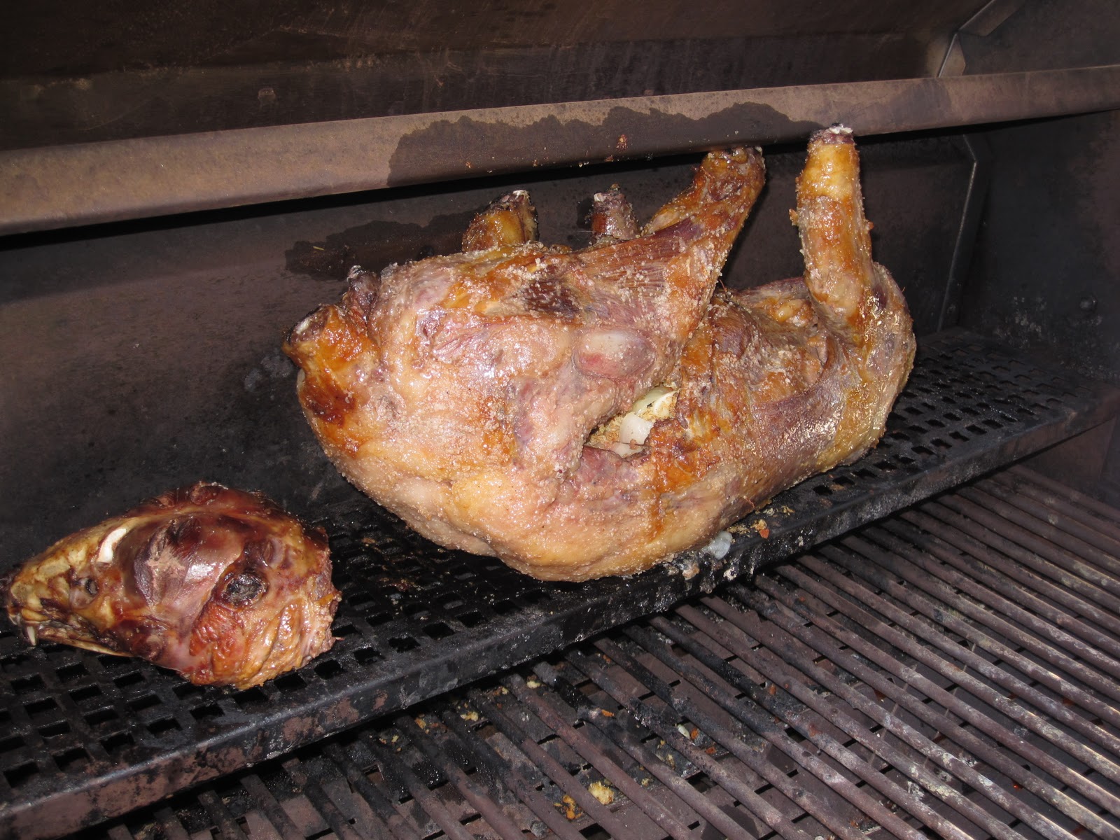 방파제 구루퍼 낚시중에 만난 귀여운 너구리들 : 네이버 블로그