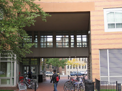 Visual Perception and Boston: Northeastern University Quad