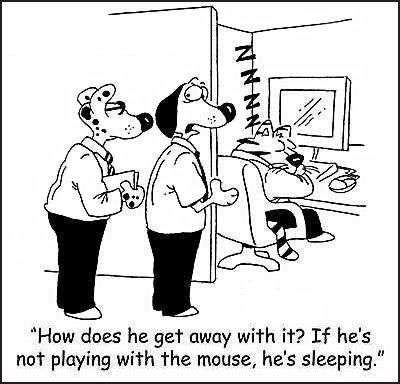 S†MoN®: How to Power Nap