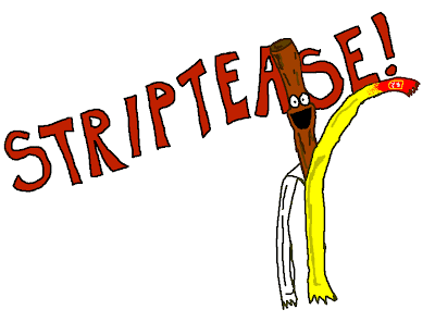 Famous Dinosaurs: Slim Jim.