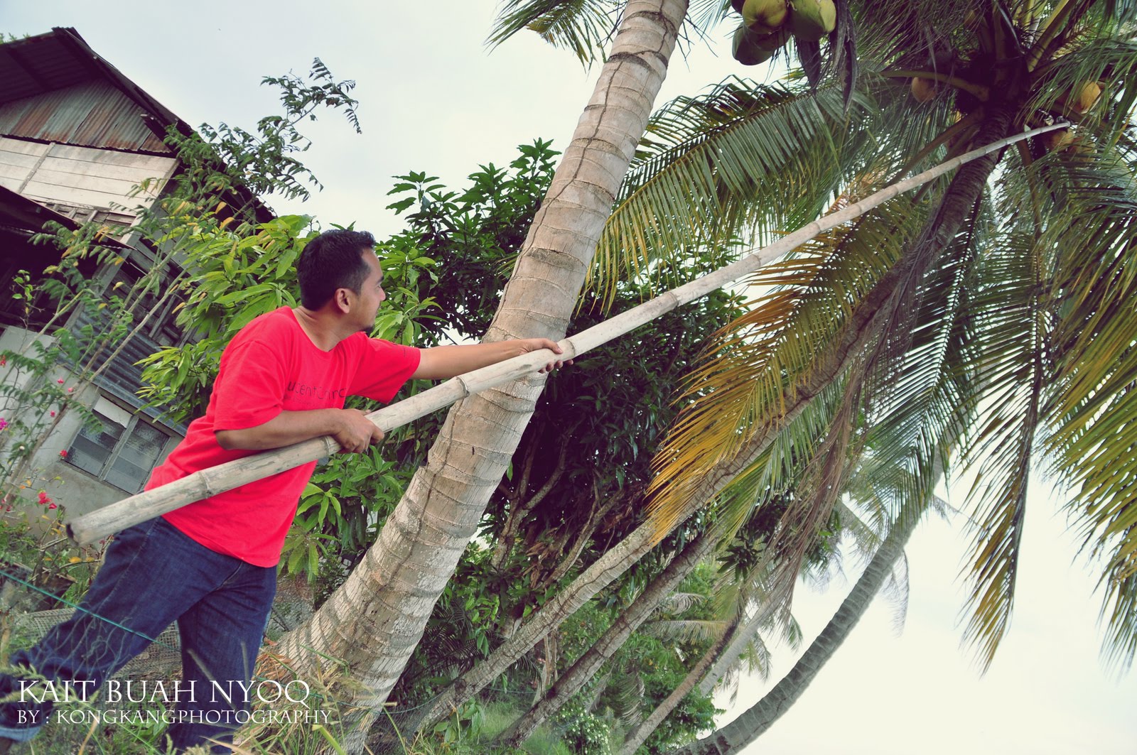 SeMBaNG KoNgKaNG...: Mari kait Buah Nyoq