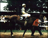 nylaw2law: Eulogy for Manny Seidel