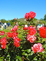 JeSaGa 2: Parque Cervantes