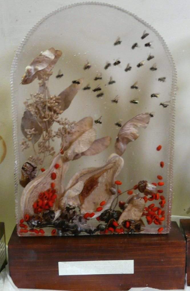 The Chronicles of Gen: Environmental Trophies for Rhodes University