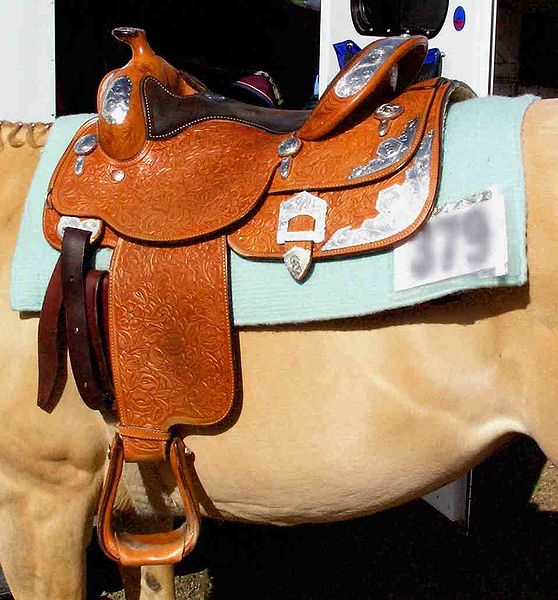 All About Horses: western style riding