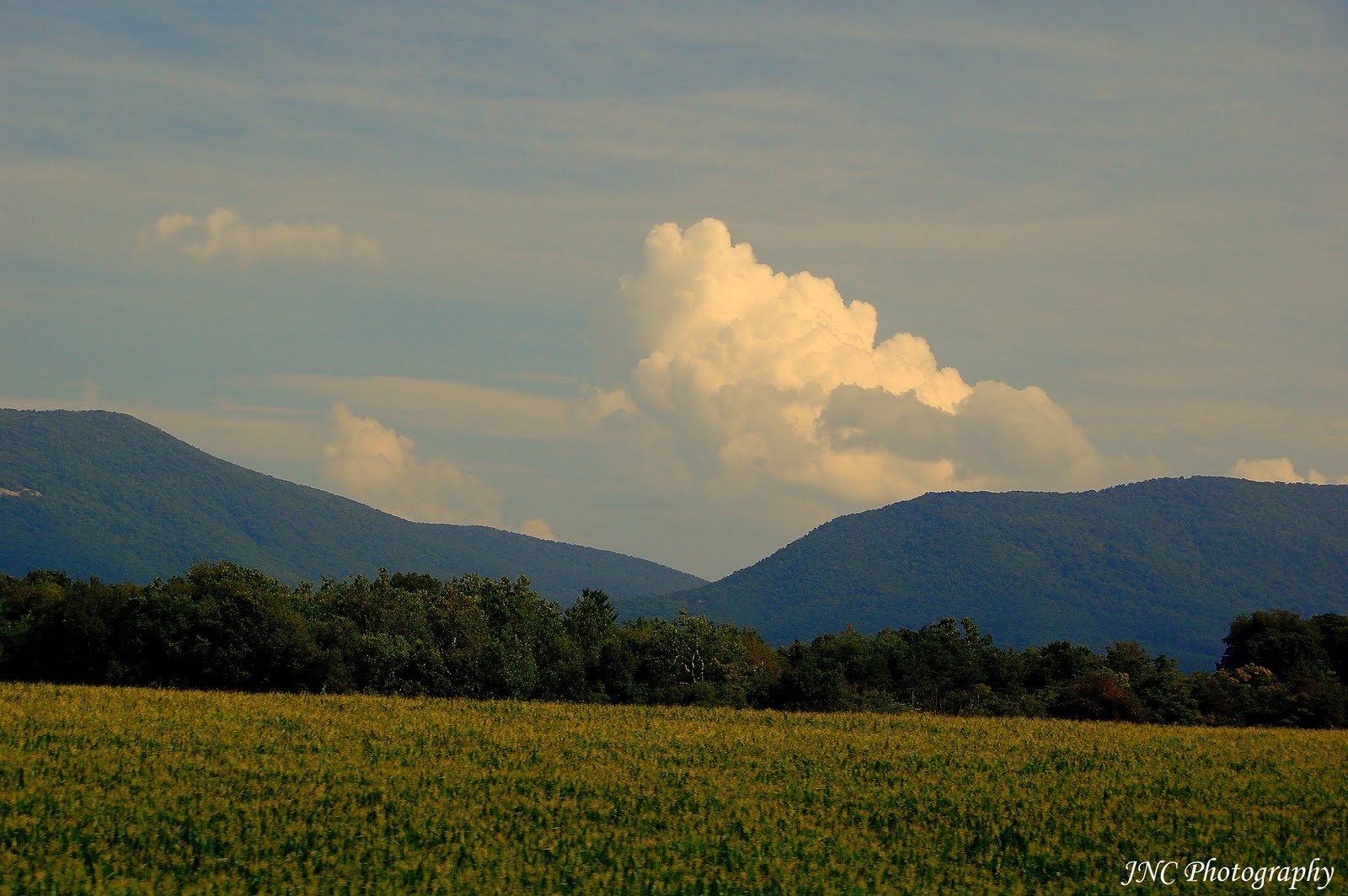 Nature... Subtle But Strong | JNC Photography