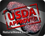 what’s really in that burger? e.coli & feces both allowed by usda ...