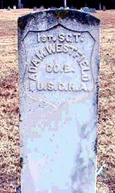 The USCT Chronicle: Identifying the Headstones of US Colored Troops