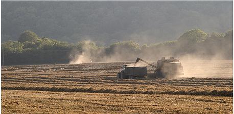Ag News Online: Dust regulation is debatable