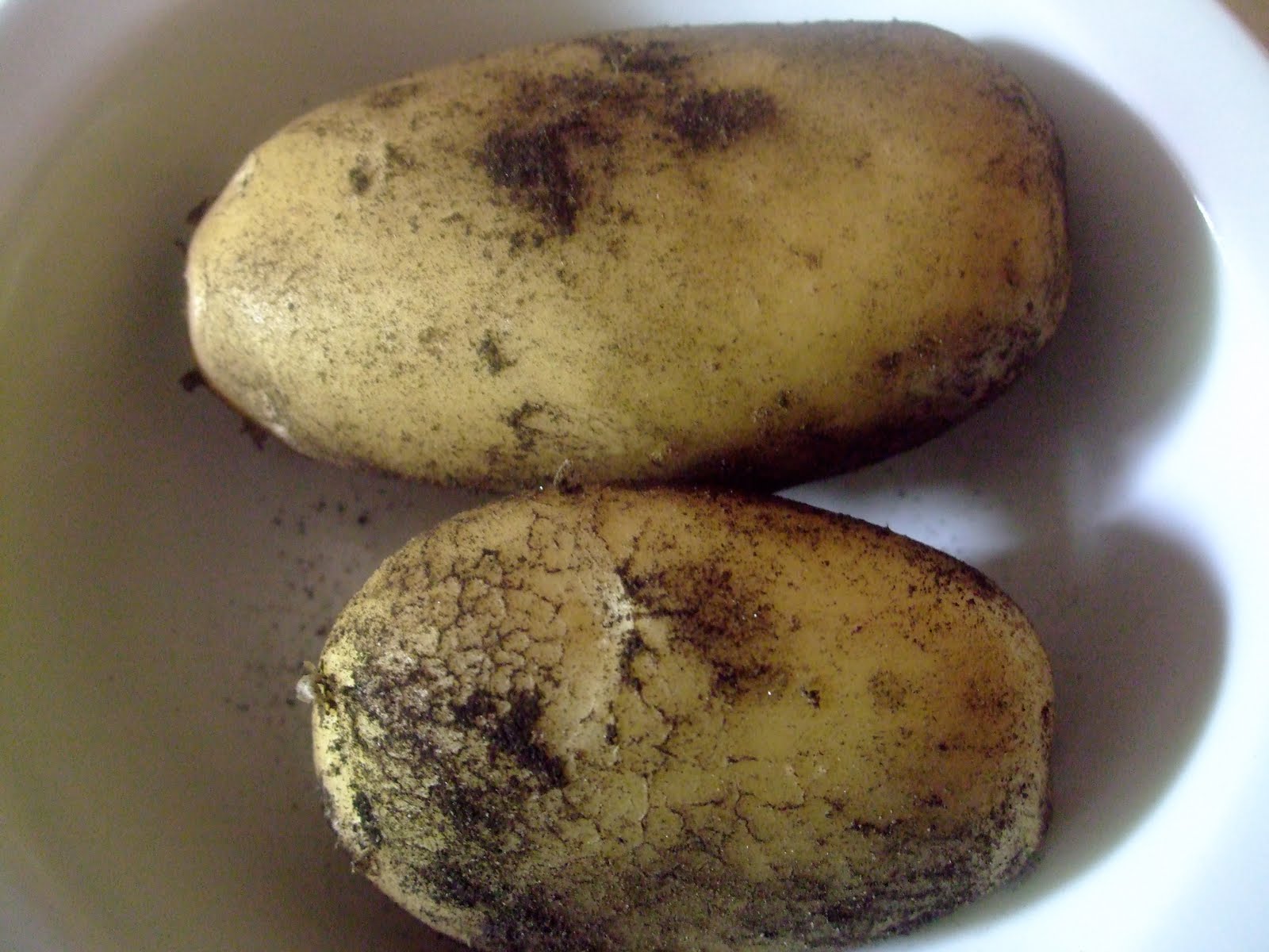 greentapestry : ''One Potato, Two Potato''