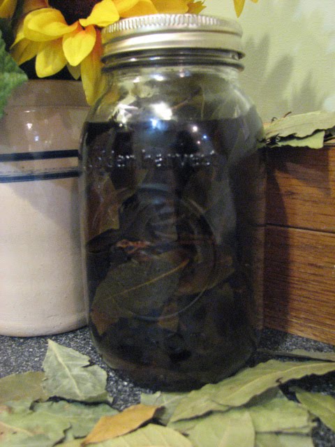 The Handmade Homemaker: Homemade Bay Rum Aftershave and Astringent