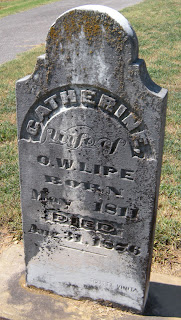 Escape to the Silent Cities: Lipe Family Plot