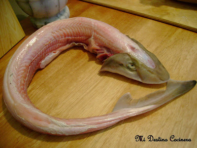 Pescados al Vapor: Musola Rellena de Basmati y Brunoise de Verduras en ...
