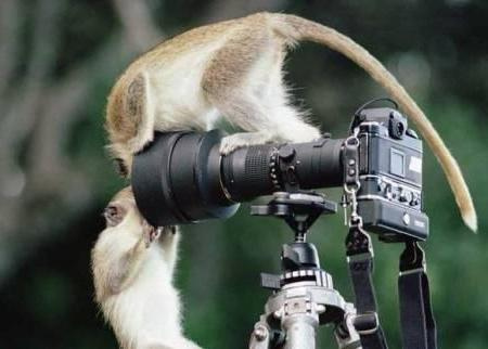 BLOG NIKON: FOTO HUMOR. LOS MOMENTOS NIKON MÁS DIVERTIDOS