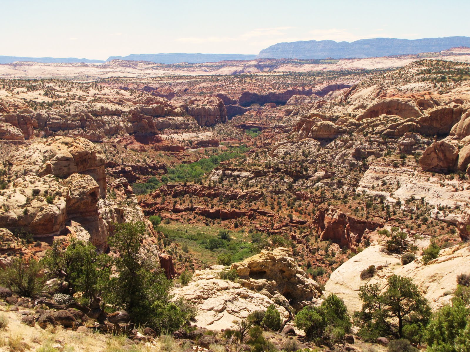 Ricks Reel Adventures: The Boulder Mountains of Utah