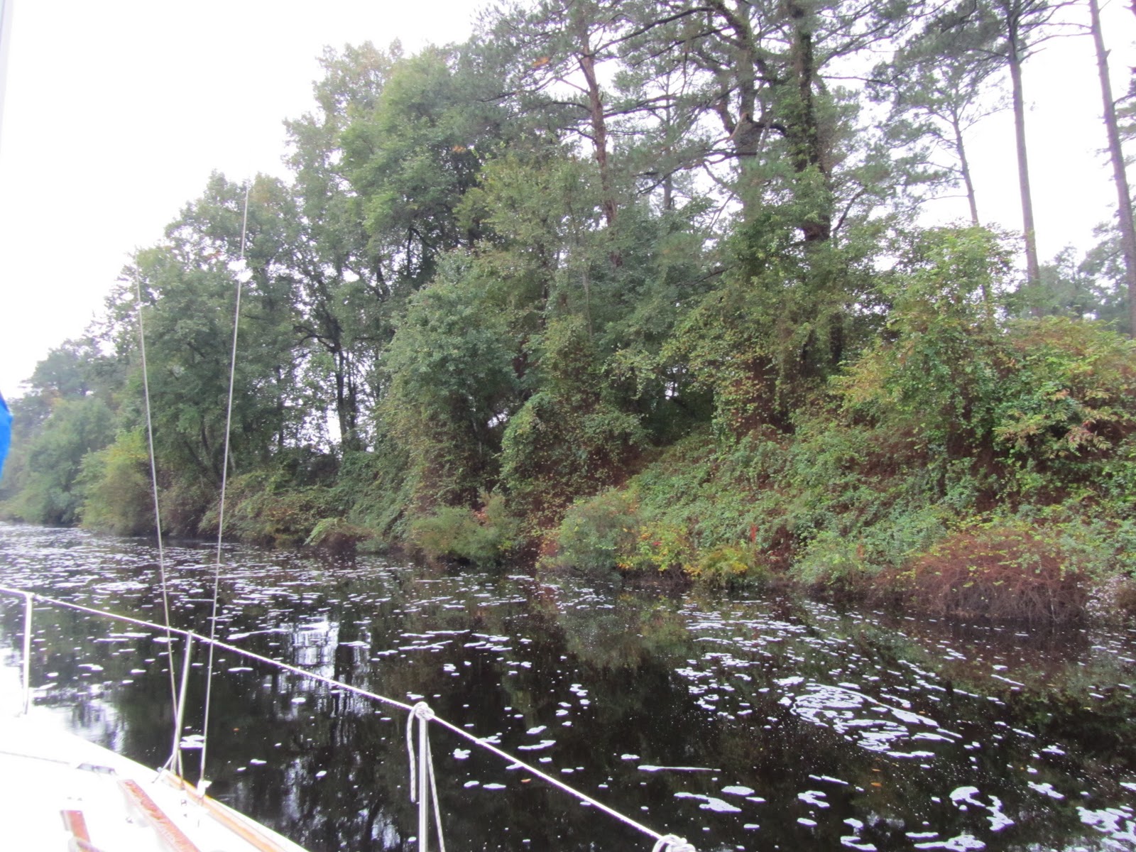 Cape Cod to Key West: The Dismal Swamp to Elizabeth City NC