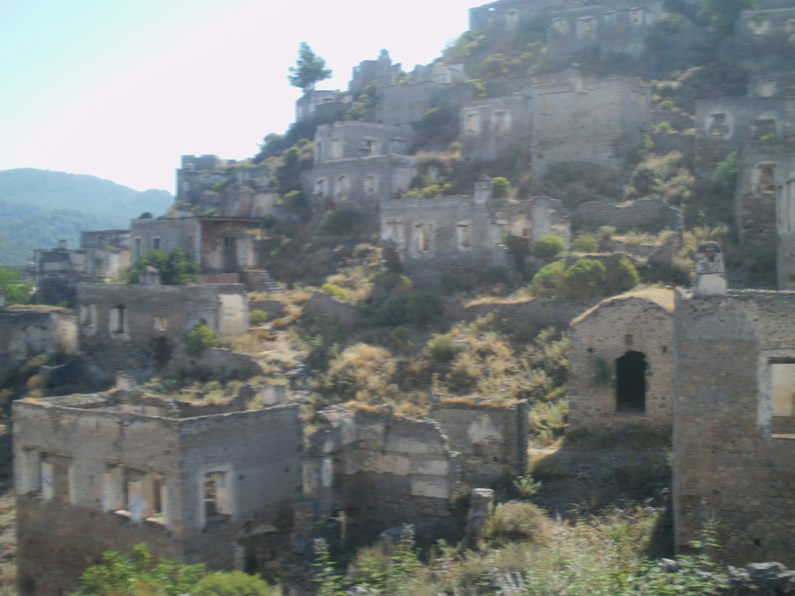 smyrna: λιβισι μικρας ασιας