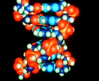 Enroque de ciencia: Seis estados para la materia
