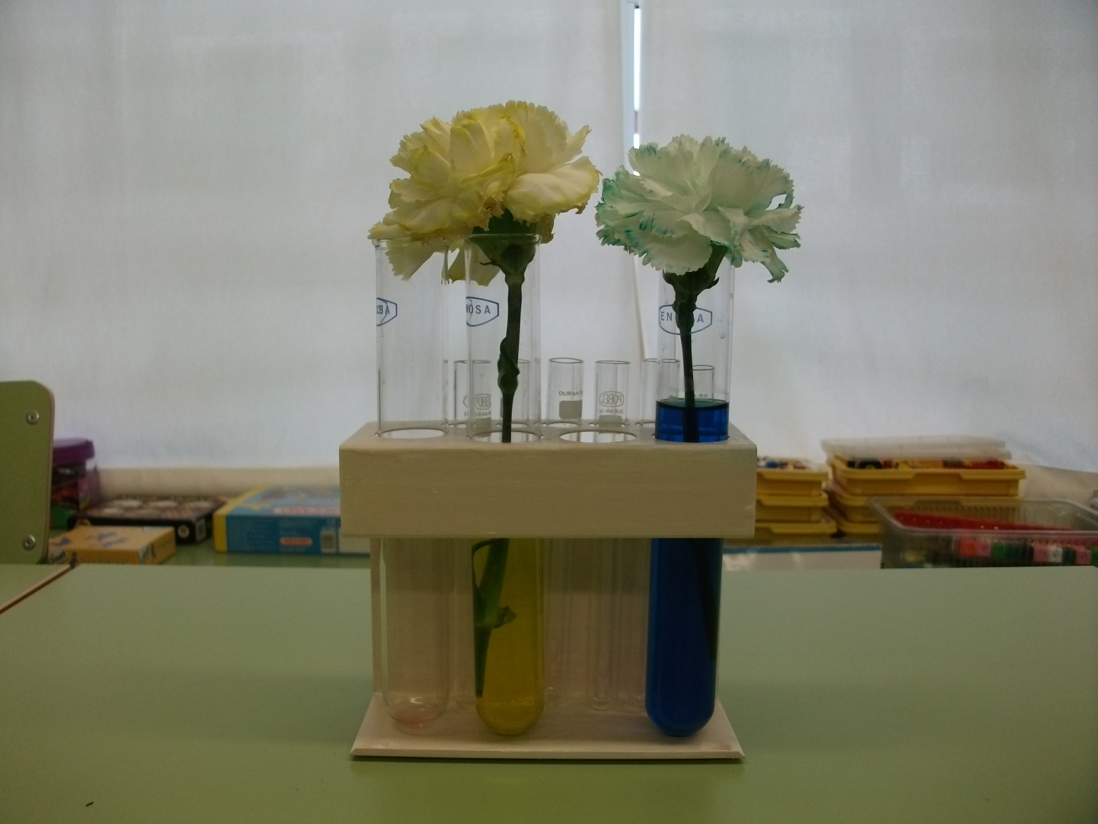 AULA DE DESARROLLO DE CAPACIDADES P.J. RUBIO: Experimento de la semana ...