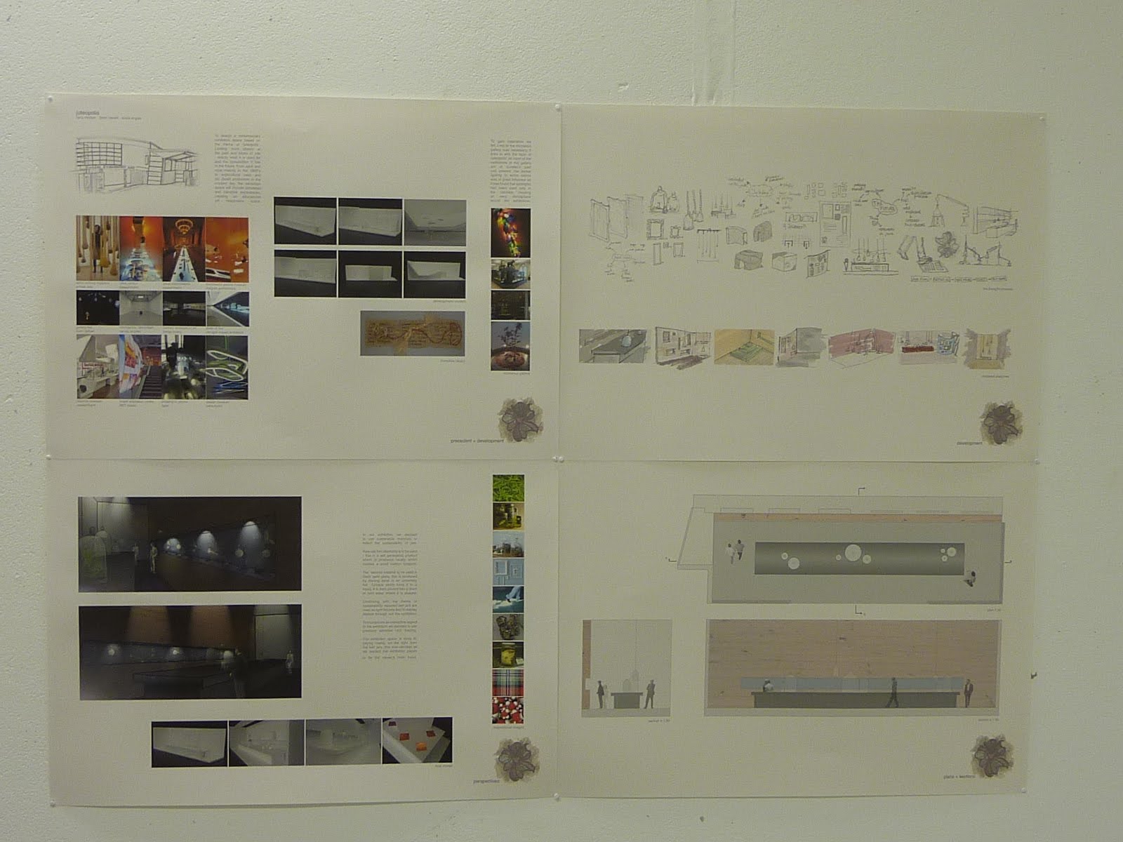 Sonia Angus: October 2010