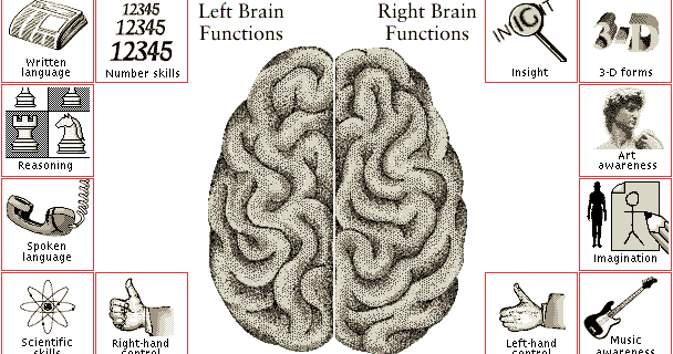 Dutchcorner: Learning disabilities don't exist